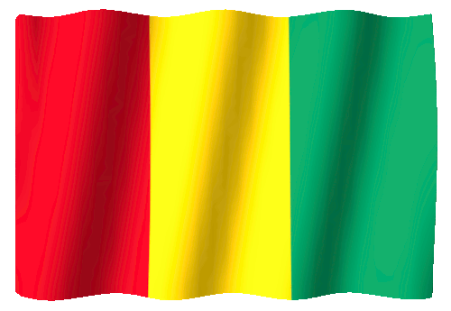 Guinea Flag Wave - Free GIF on Pixabay