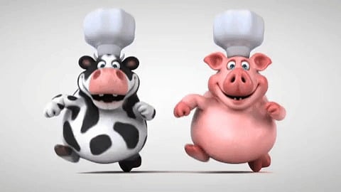 400+ Free Animated Pig & Animated animated GIFs and Stickers - Pixabay