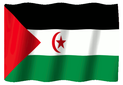 Western Sahara Flag Wave - Free GIF on Pixabay