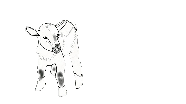 Schaap Geit Zoogdier - Gratis gifs op Pixabay
