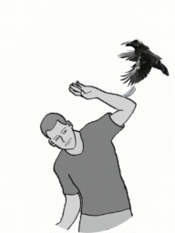 Drive Away Crow - Free GIF on Pixabay