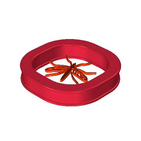 60+ Free Butterfly & Insect animated GIFs and Stickers - Pixabay