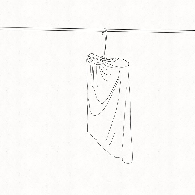 Dry Clothes Clothesline Skirt - Free GIF on Pixabay
