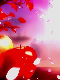 10+ Free 桦树林 & Apple animated GIFs and Stickers - Pixabay
