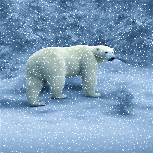 3+ Free Polar Bear & Winter animated GIFs and Stickers - Pixabay