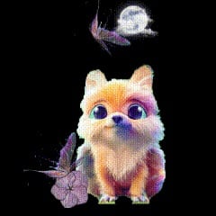 100+ Free Good Night & Night animated GIFs and Stickers - Pixabay