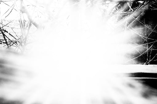 性质 光 - Pixabay 上的免费 GIF 动图