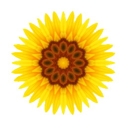 Sunflower Flower Pattern - Free GIF on Pixabay - Pixabay