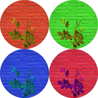 Animation Fleurs La Nature - GIF gratuit sur Pixabay - Pixabay