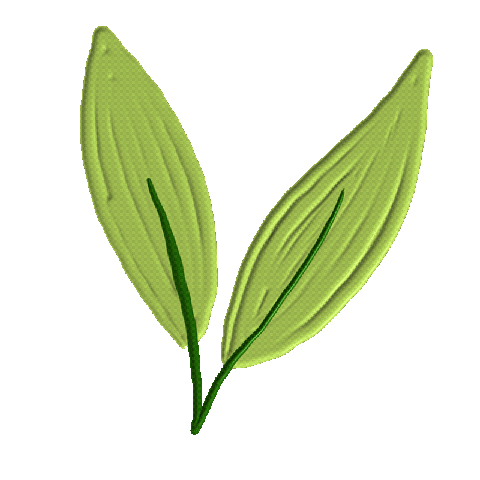 60+ Free Forest & Nature animated GIFs and Stickers - Pixabay