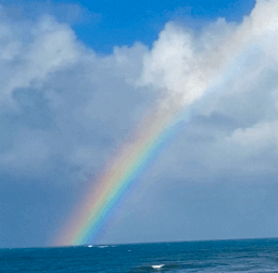Rainbow Ocean Spray - Free GIF on Pixabay - Pixabay