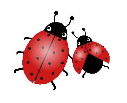9+ Free Bug & Insect animated GIFs and Stickers - Pixabay