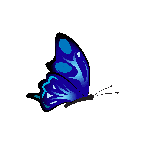 9+ Free Bug & Insect animated GIFs and Stickers - Pixabay