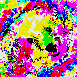 狗 彩虹狗 - Pixabay 上的免费 GIF 动图