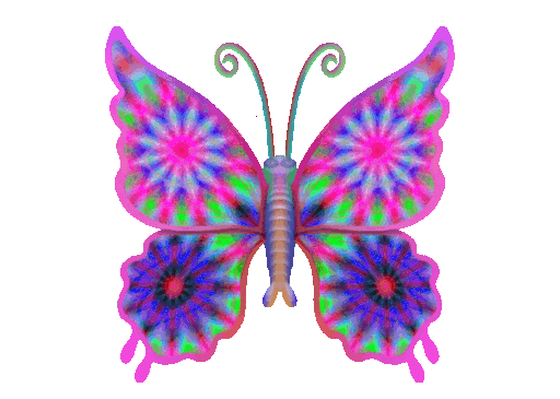 Butterfly Insect Colourful - Free GIF on Pixabay