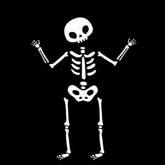 30+ Free Skeleton & Bones animated GIFs and Stickers - Pixabay