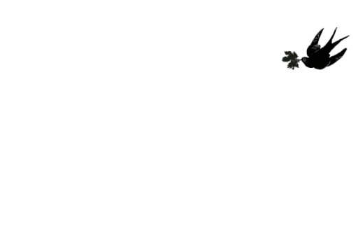 Birds Flying Gif Without Background