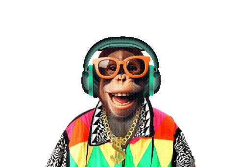 10+ Singes & Singe GIFs animés et Stickers gratuits - Pixabay