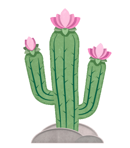 Animated Cactus Gif