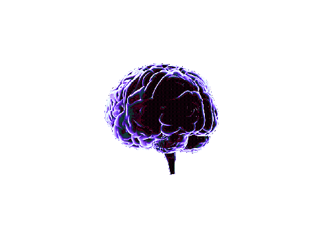 Brain Neurons Thinking - Free GIF on Pixabay