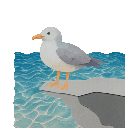 Seagull Bird Sea - Free GIF on Pixabay