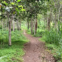 Free Mountain Path Sound Effects Download - Pixabay
