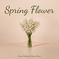 Spring Background Music | No Copyright Song & MP3 Free Downloads - Pixabay