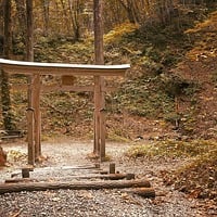Japanese Peace Garden | Royalty-free Music - Pixabay