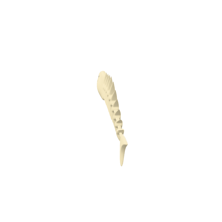 Fish Herringbone Bone - Free 3D Models on Pixabay