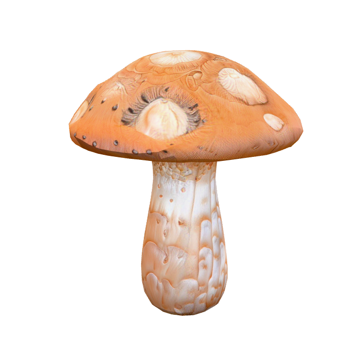 Mushroom Fungi Nature - Free 3D Models on Pixabay