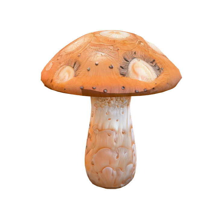 Mushroom Fungi Nature - Free 3D Models on Pixabay