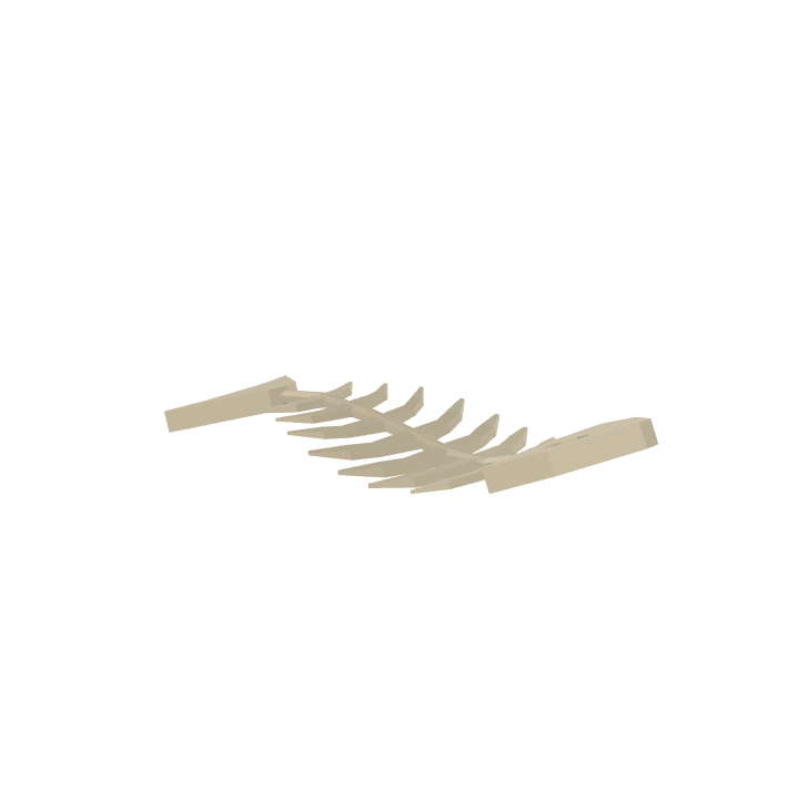 Fish-Bone Bone Skeleton - Free 3D Models on Pixabay