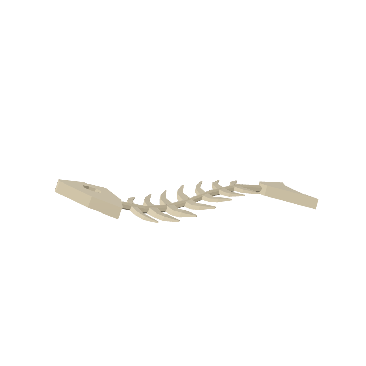 Fish-Bone Bone Skeleton - Free 3D Models on Pixabay