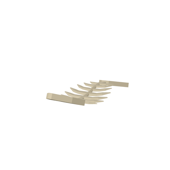 Fish-Bone Bone Skeleton - Free 3D Models on Pixabay