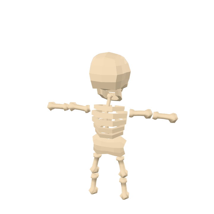 Skeleton Bones Human - Free 3D Models on Pixabay