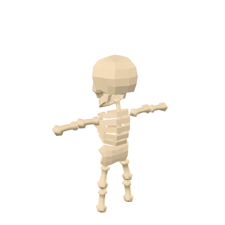 Skeleton Bones Human - Free 3D Models on Pixabay