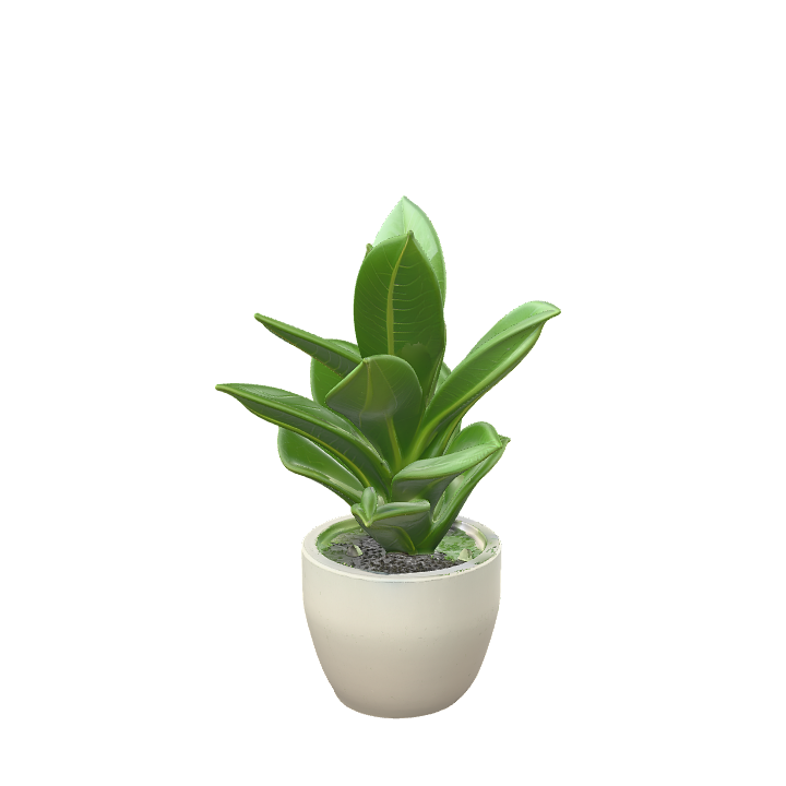 200+ Free Home Plant & Stylized 3D models - Pixabay