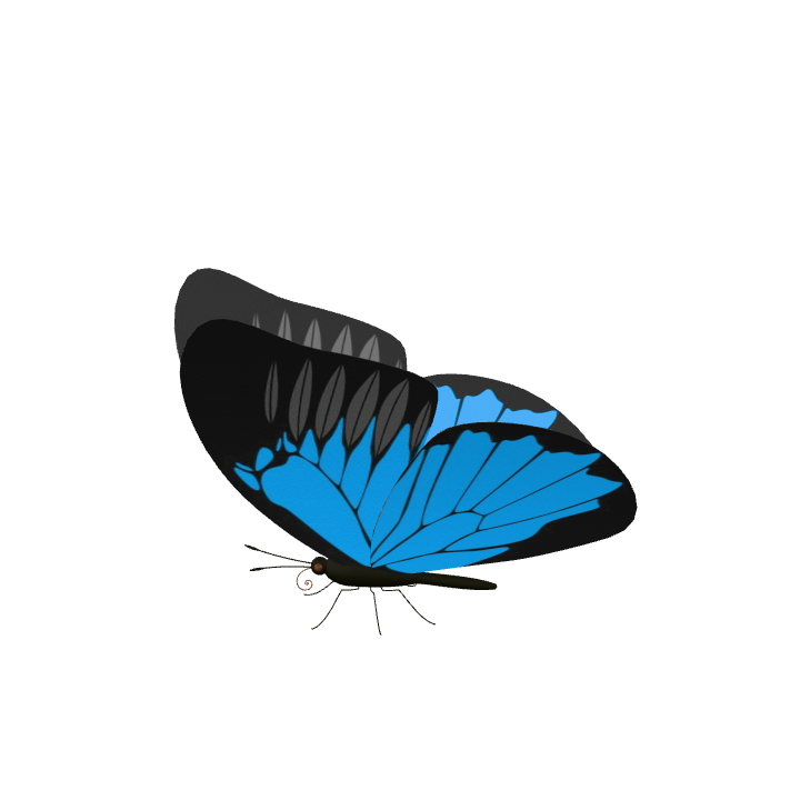 Papillon Insecte Animal - Modèles 3D gratuits sur Pixabay