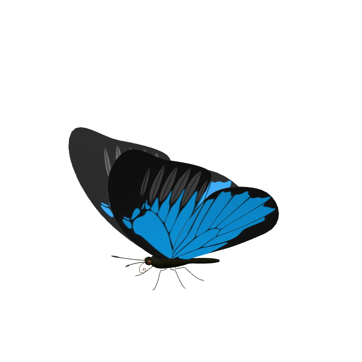 Papillon Insecte Animal - Modèles 3D gratuits sur Pixabay