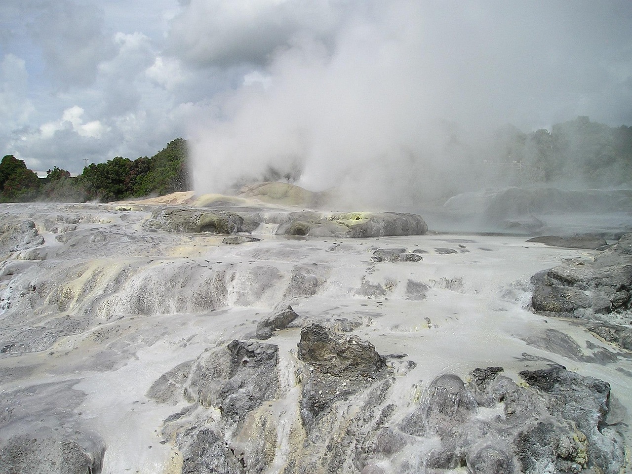 New Zealand Geysers Volcanism - Free photo on Pixabay - Pixabay