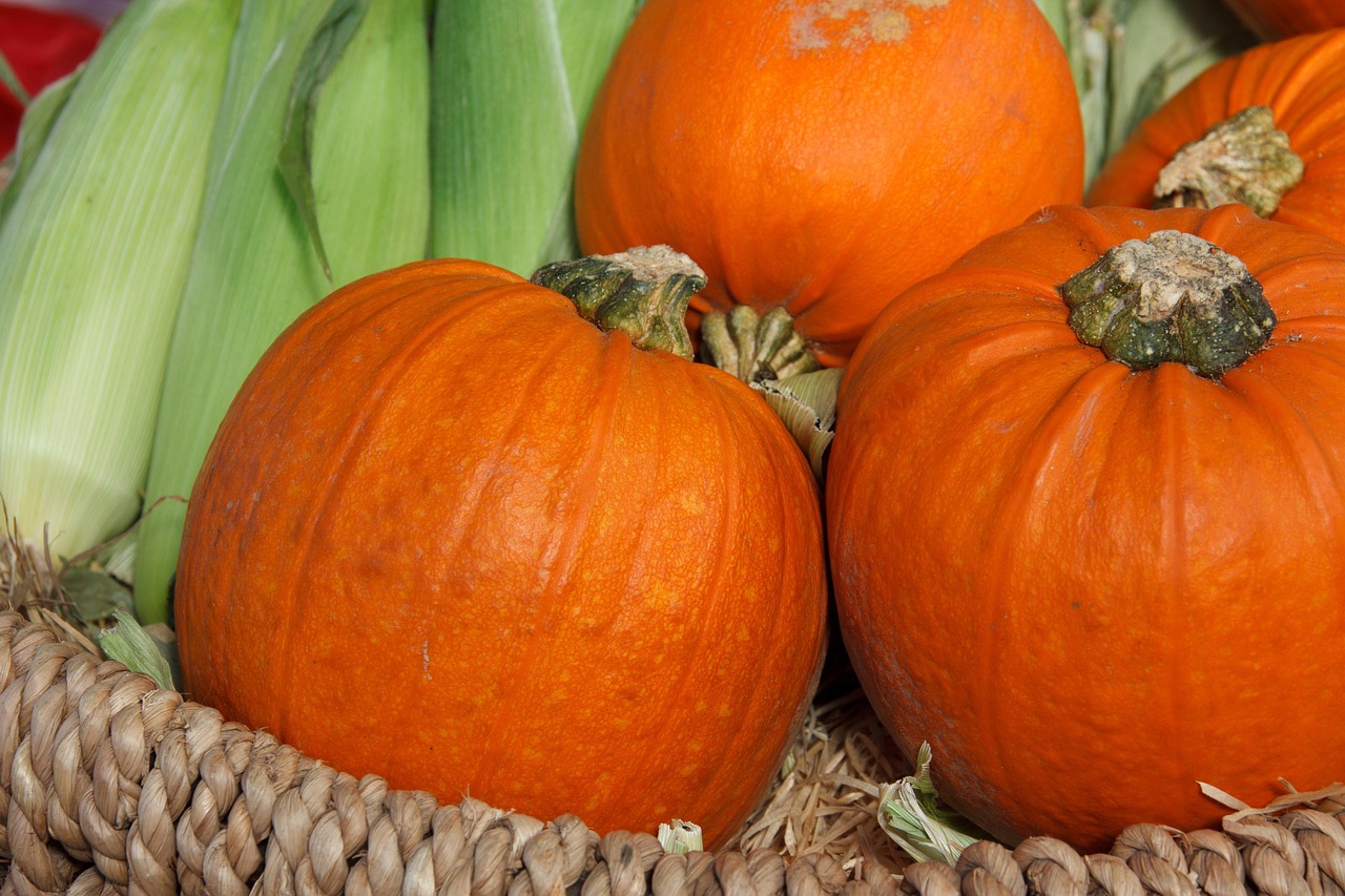 700+ Free Colorful Pumpkins & Pumpkin Images - Pixabay