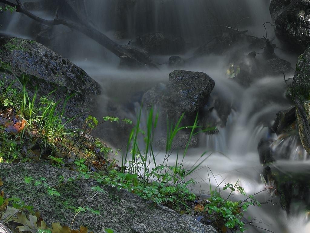 Agua Arroyo Bosque - Foto gratis en Pixabay - Pixabay