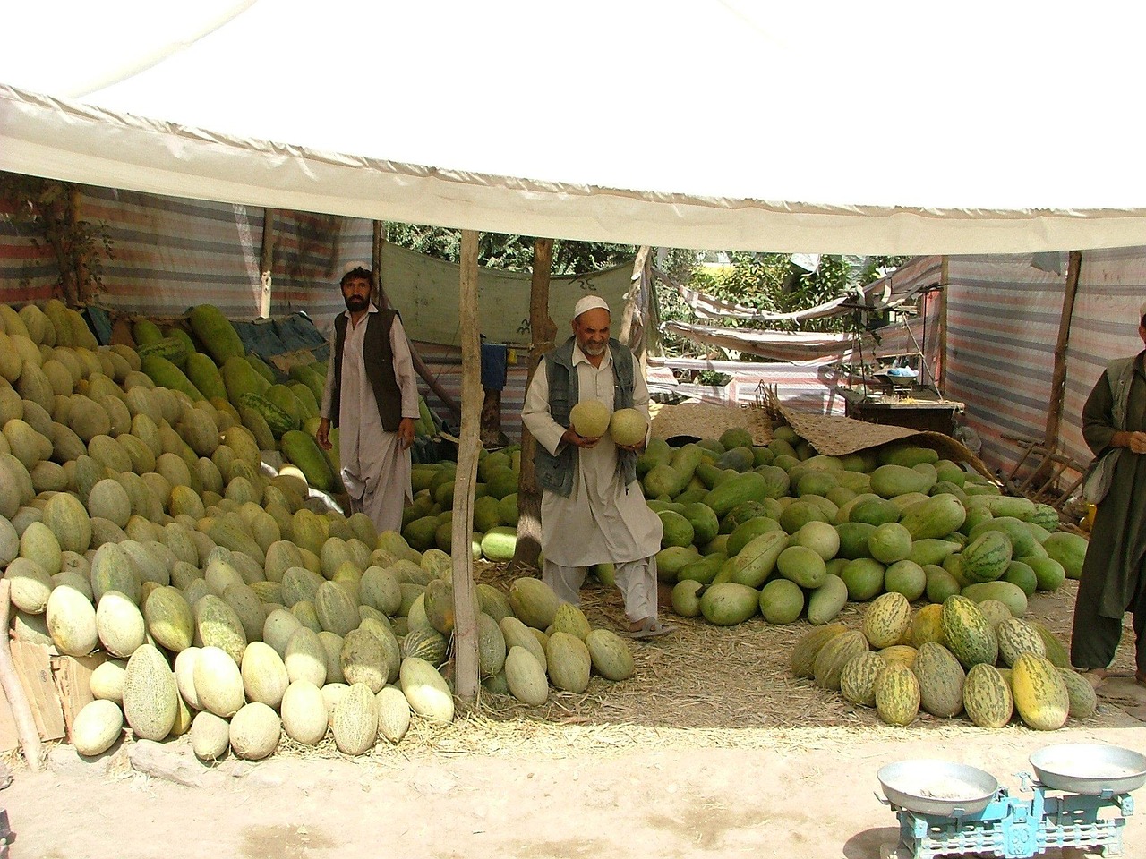 Melons Market Stall Kabul - Free photo on Pixabay - Pixabay