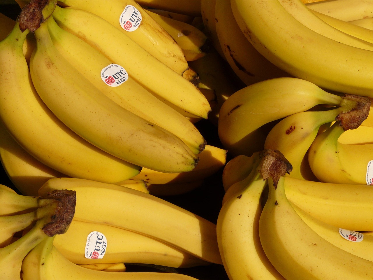Banana Fruit Healthy - Free photo on Pixabay