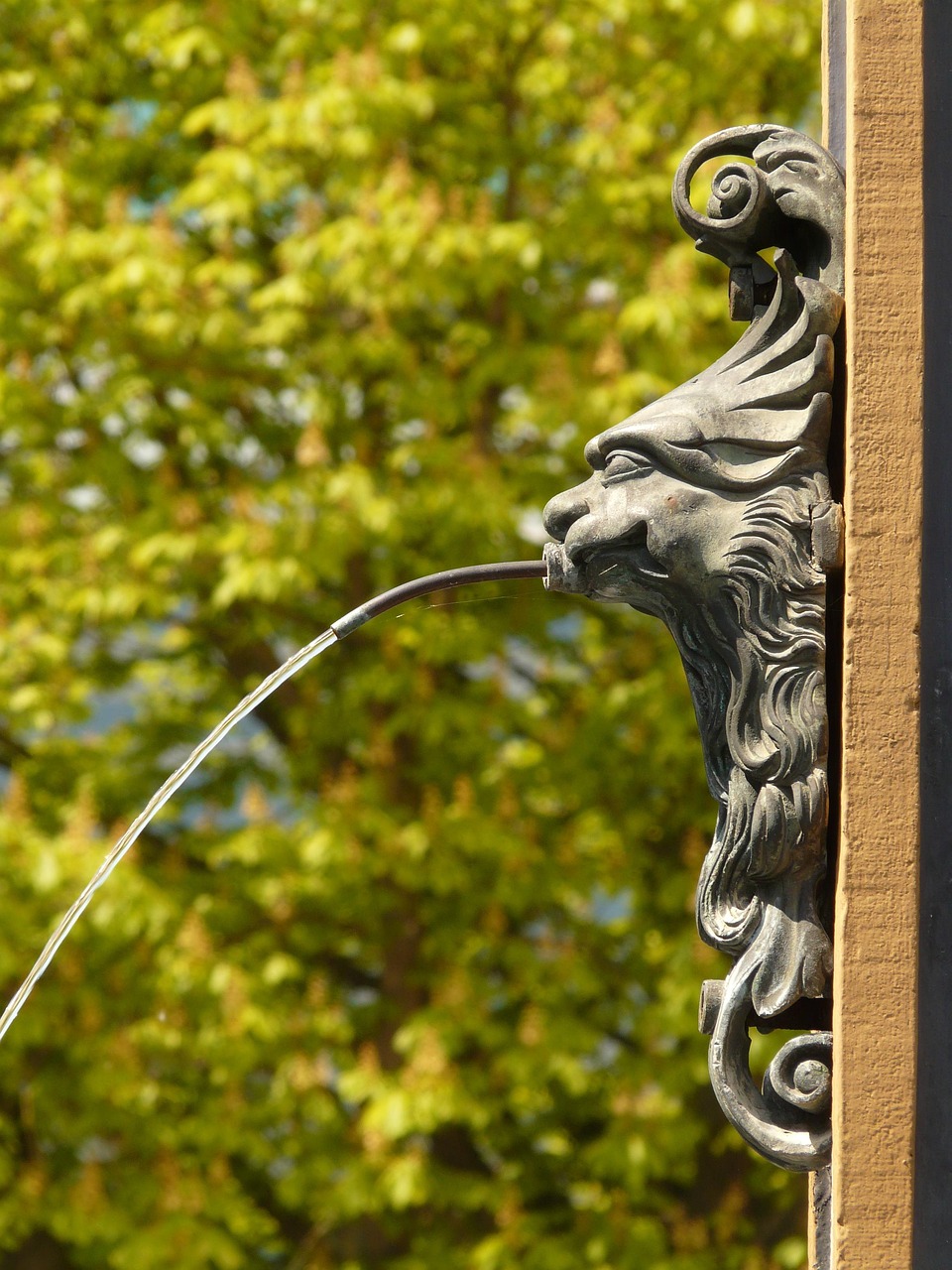 Gargoyles Fountain Water - Free photo on Pixabay - Pixabay