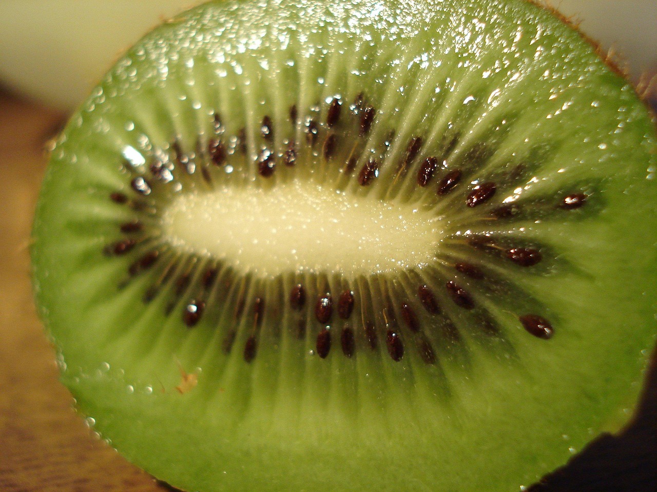 Kiwi Fruit - Free photo on Pixabay - Pixabay