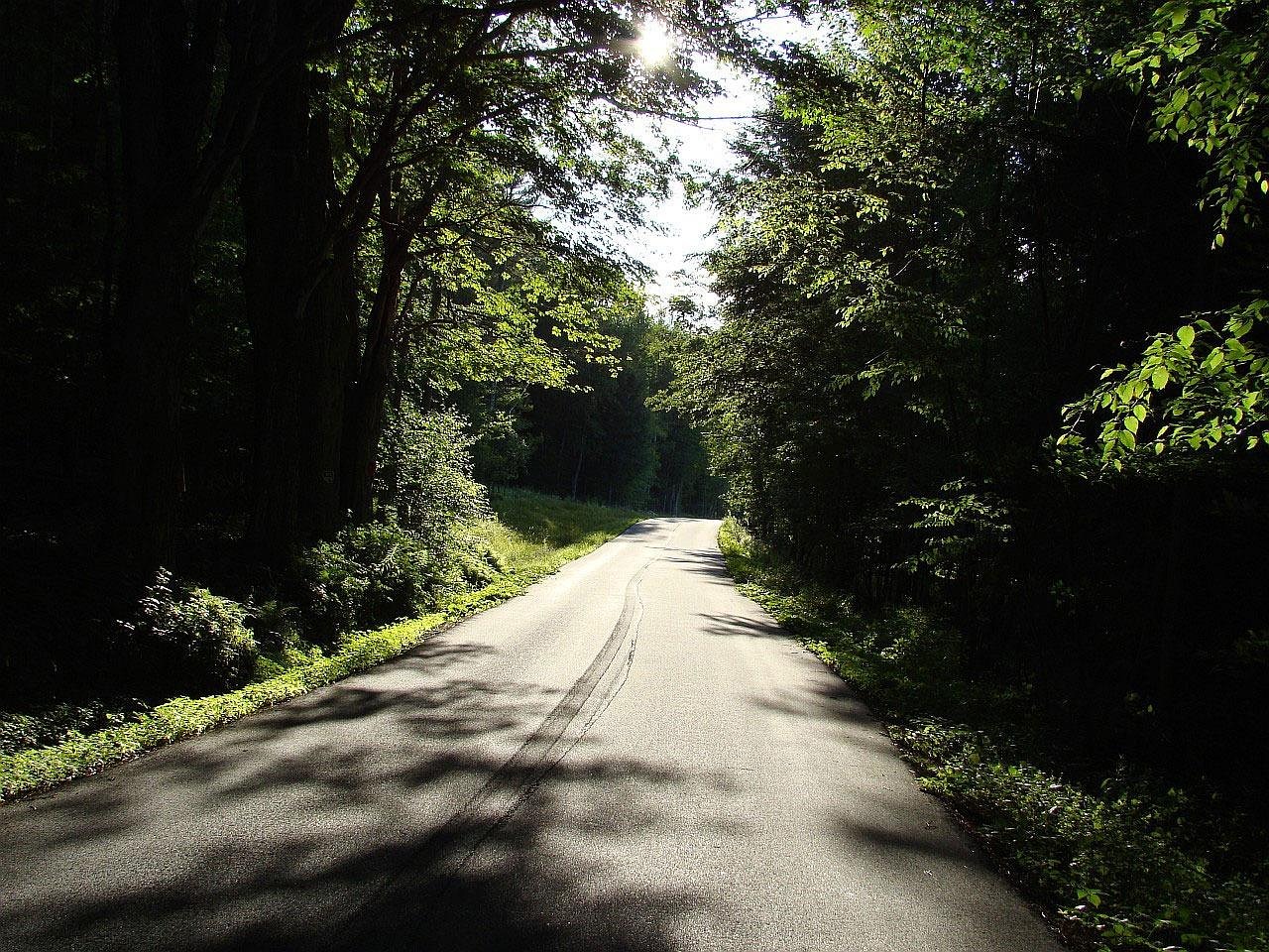La Carretera Bosque Sendero - Foto gratis en Pixabay - Pixabay