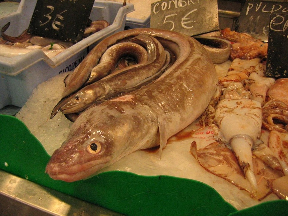 Fish Market - Free photo on Pixabay - Pixabay