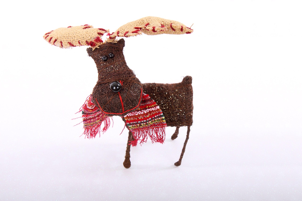 Animal Fête Noël - Photo gratuite sur Pixabay - Pixabay