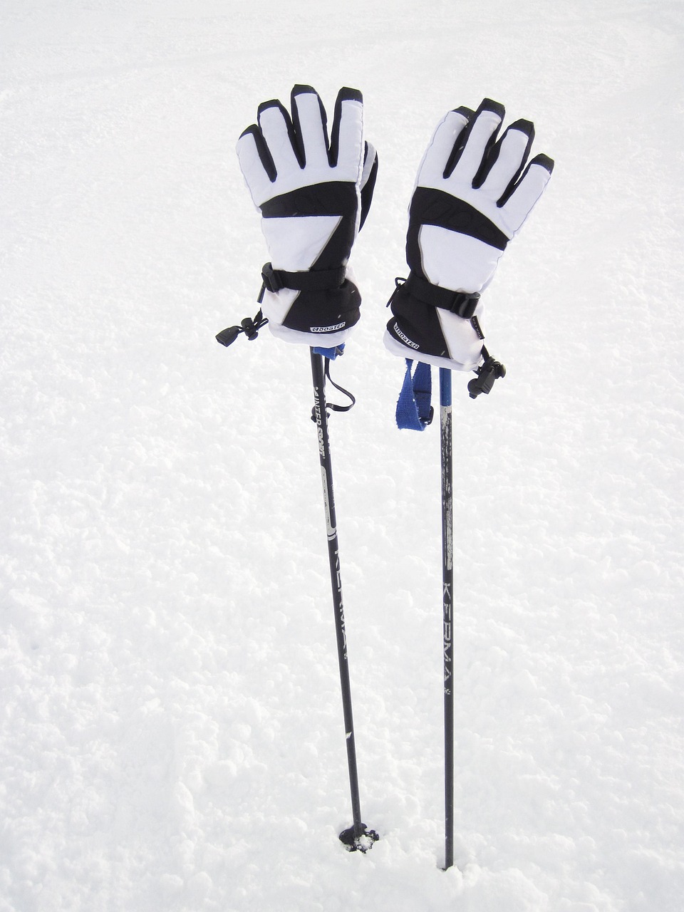Cold Equipment Gloves - Free photo on Pixabay - Pixabay